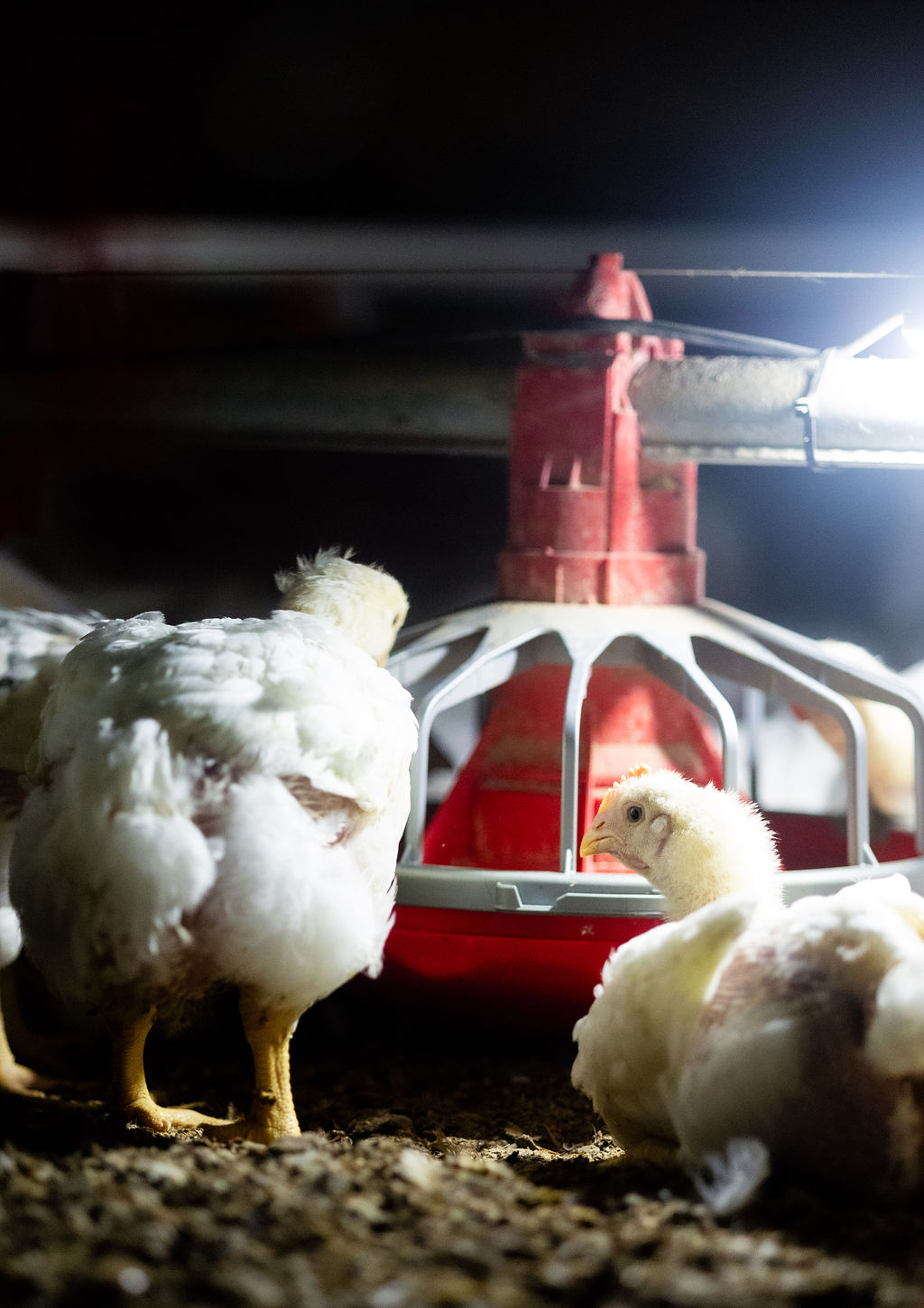 Optient Product Registration and Warranty